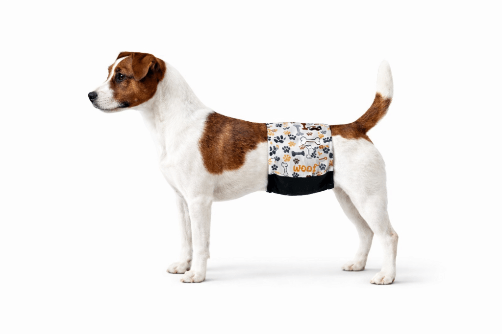 Elastic Dog Diapers (Boy Belly Bands) | Belly Bands for Dogs
